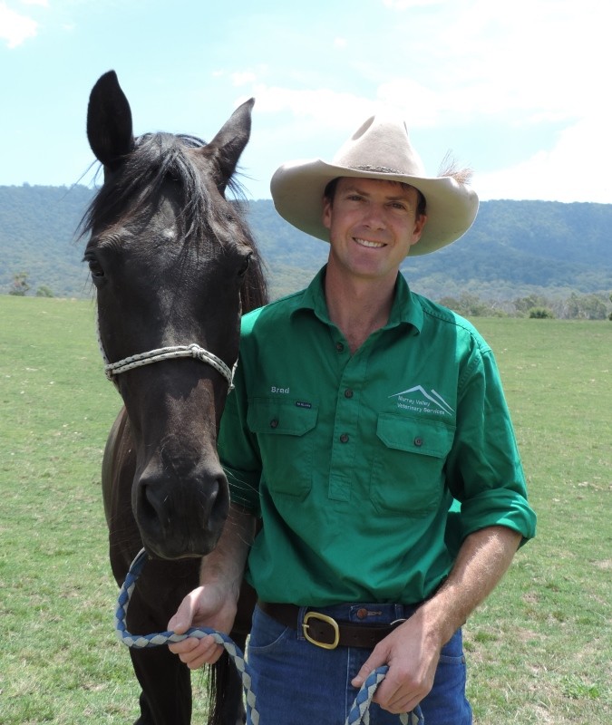 Albury Vet | Murray Valley Veterinary Services